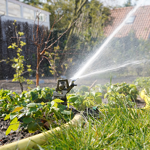 Automatische beregeningsinstallatie geïnstalleerd vanuit beregeningsplan op maat | Project ...